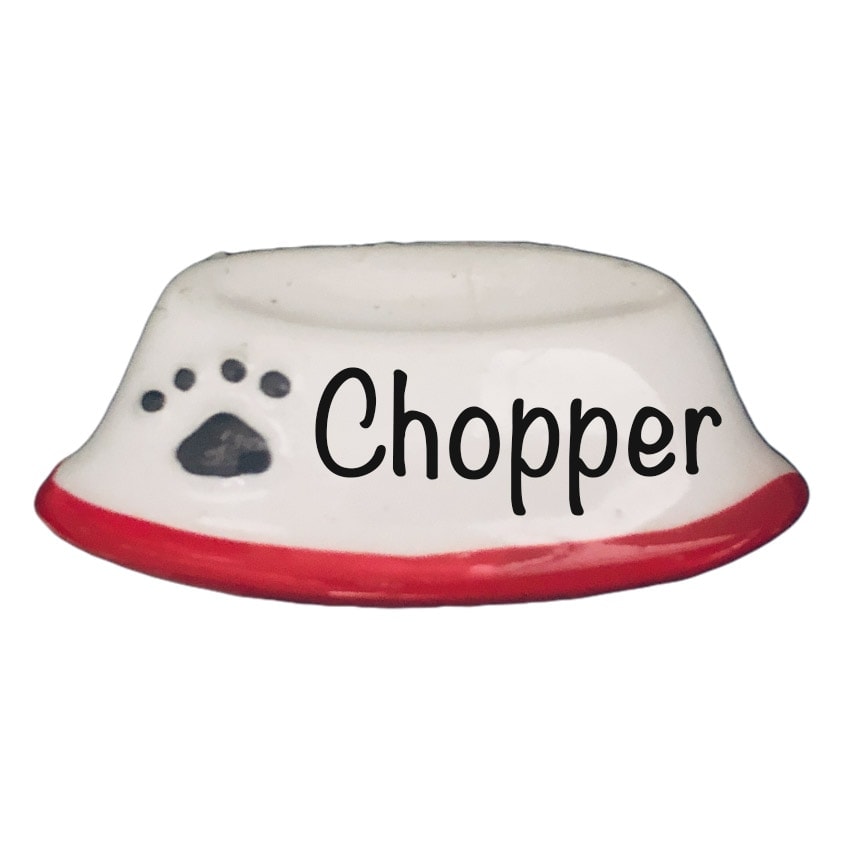 Cat or Dog Pet Add On Personalized Ornament – MyOrnament.com